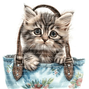 12 Cat in Handbag Clipart, Digital Download, Printable Watercolor ...