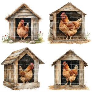 16 Chicken in Coop Clipart, Digital Download, Printable Watercolor ...