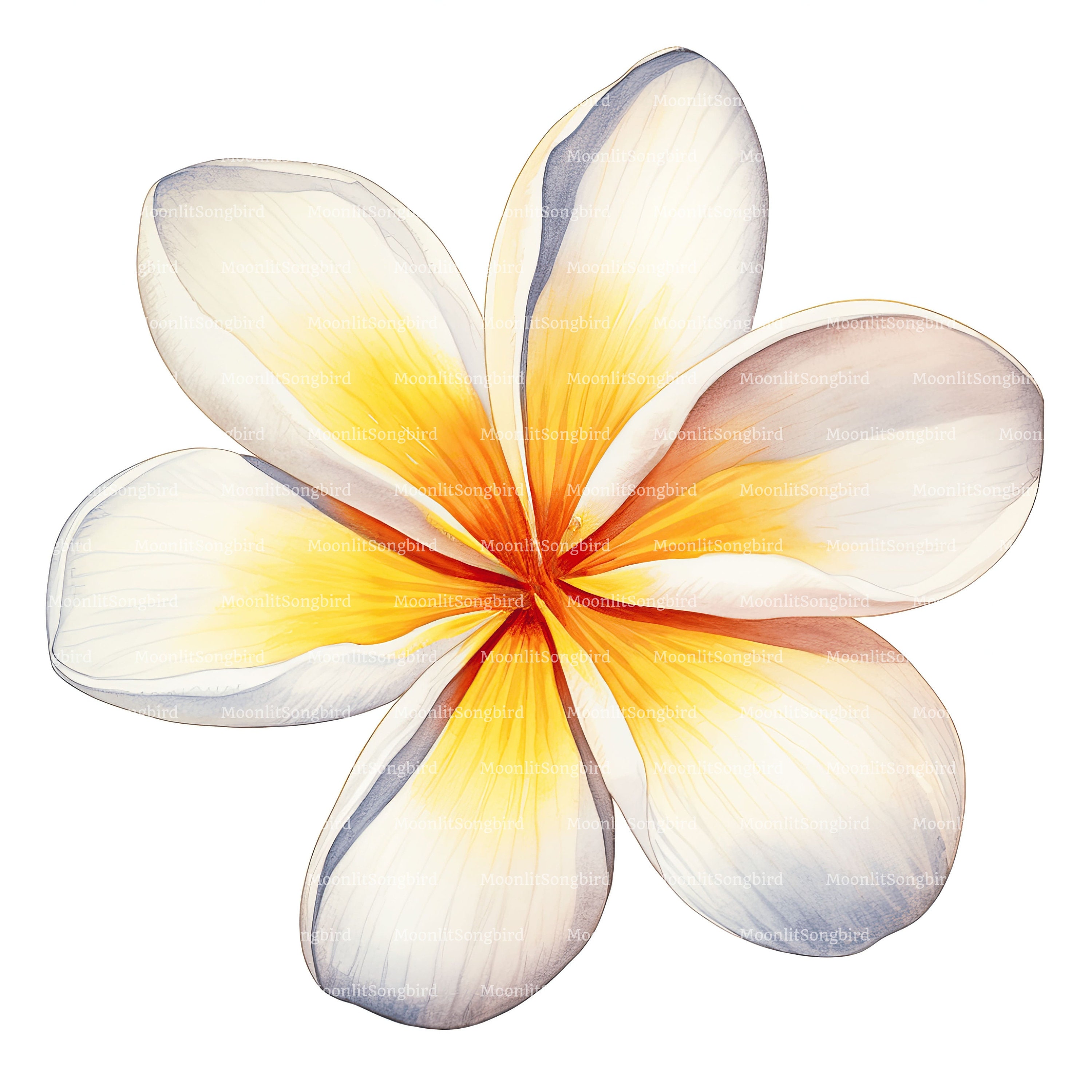 12 Frangipani Flowers Clipart, Digital Download, Printable Watercolor ...
