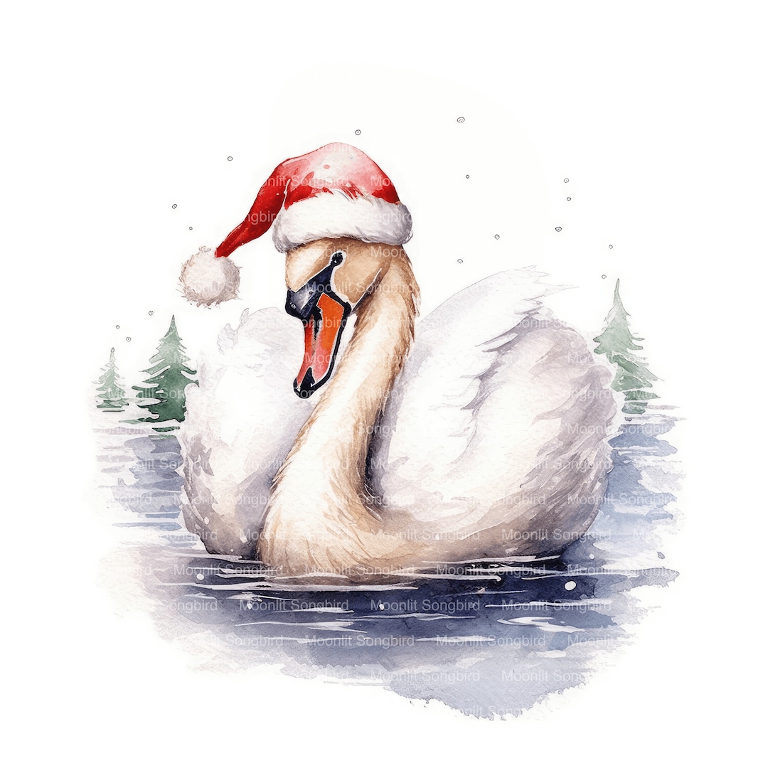 12 Christmas Swan Clipart Digital Download Printable - Etsy