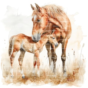 10 Mother Horse and Foal Clipart, Digital Download, Printable ...