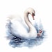 12 Christmas Swan Clipart Digital Download Printable - Etsy