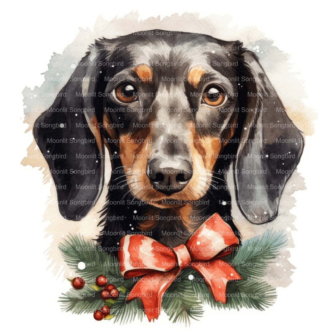12 Dachshund Santa Hat Clipart, Digital Download, Printable Watercolor ...