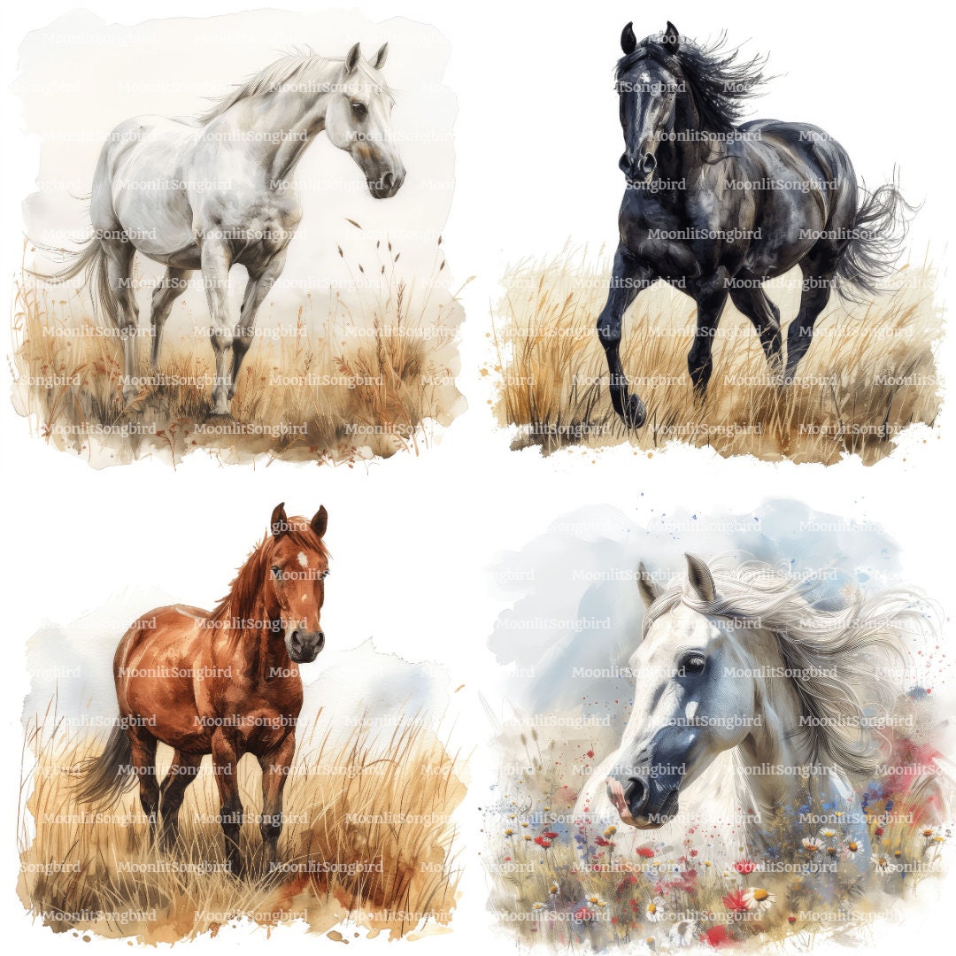 11 Horses in Fields Clipart, Digital Download, Printable Watercolor ...