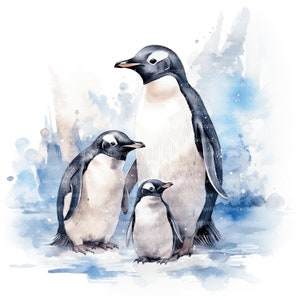 10 Penguin Family in Winter Clipart, Digital Download, Printable ...