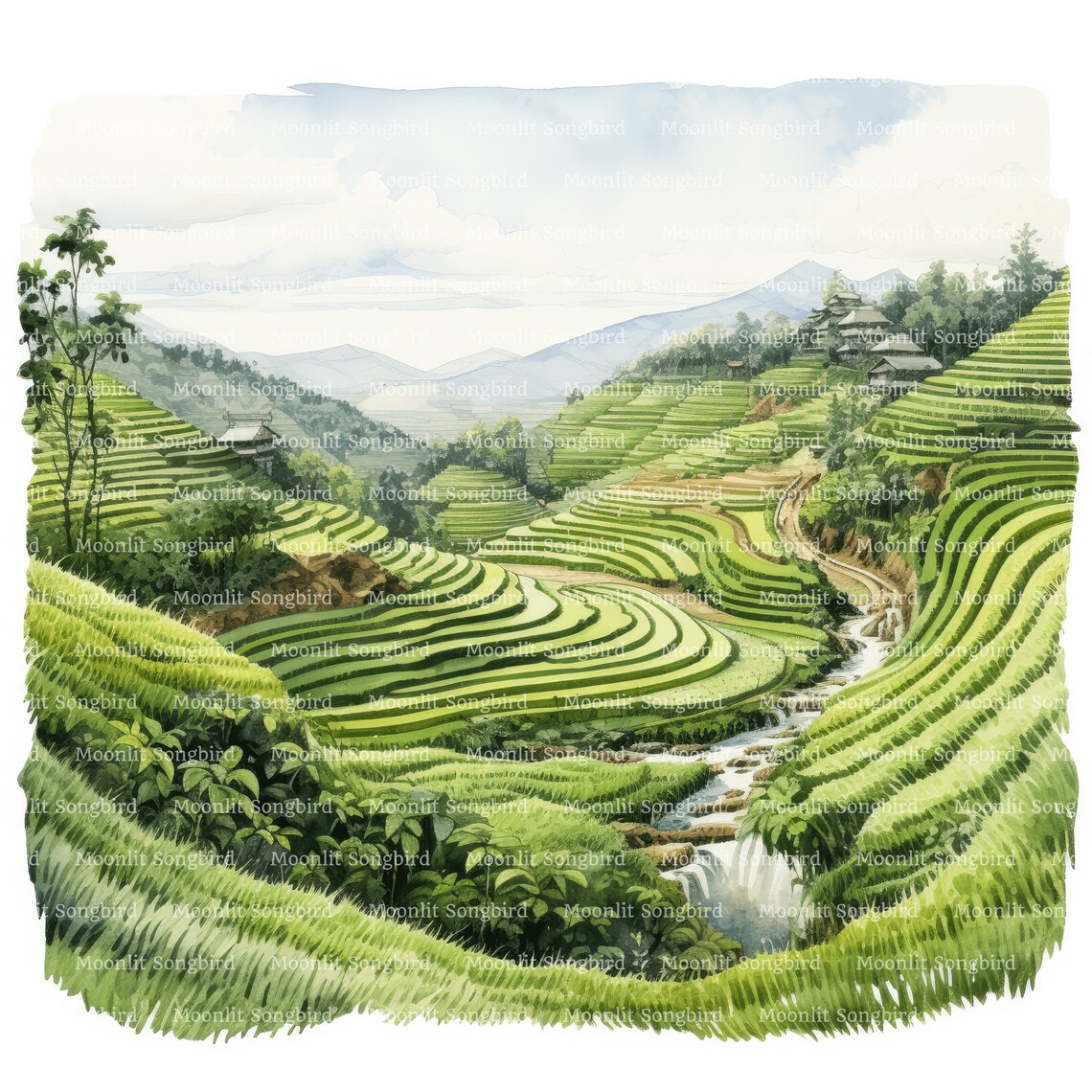 11 Terraced Rice Fields Clipart, Digital Download, Printable Watercolor ...