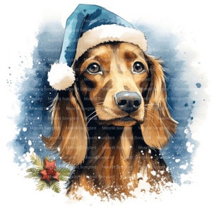 10 Christmas Dachshund Clipart, Digital Download, Printable Watercolor ...