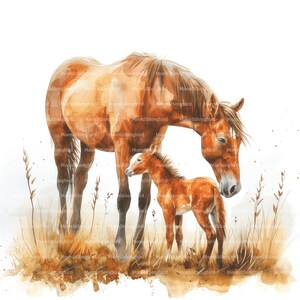 10 Mother and Baby Horse in Field Clipart, Digital Download, Printable ...