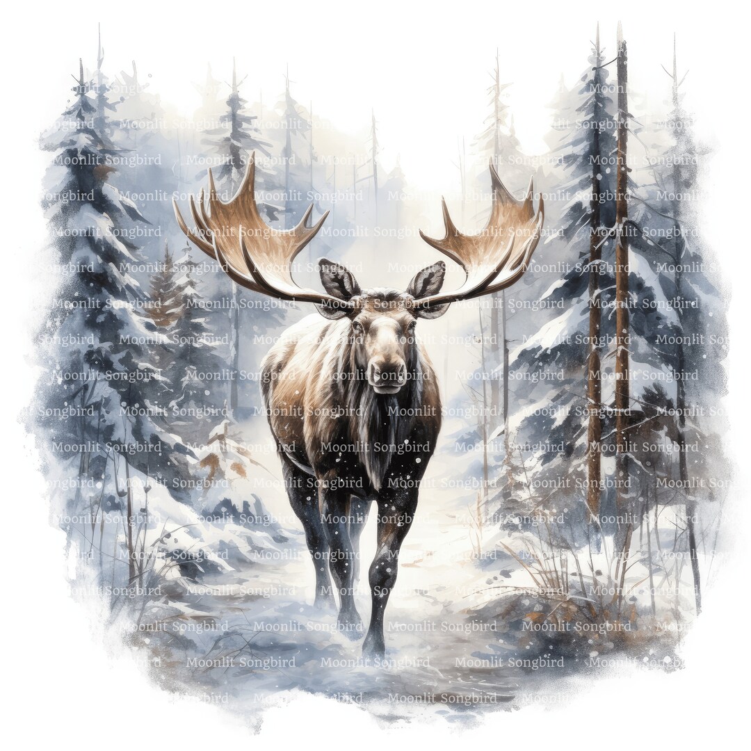 10 Moose in Winter Forest Clipart, Digital Download, Printable ...