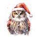 16 Christmas Owl Clipart, Digital Download, Printable Cute Watercolor ...