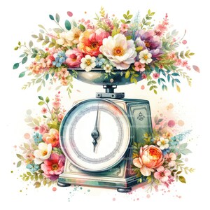 10 Floral Kitchen Scale Clipart, Digital Download, Printable Watercolor ...