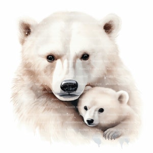 12 Polar Bear Mother and Baby Clipart, Digital Download, Printable ...