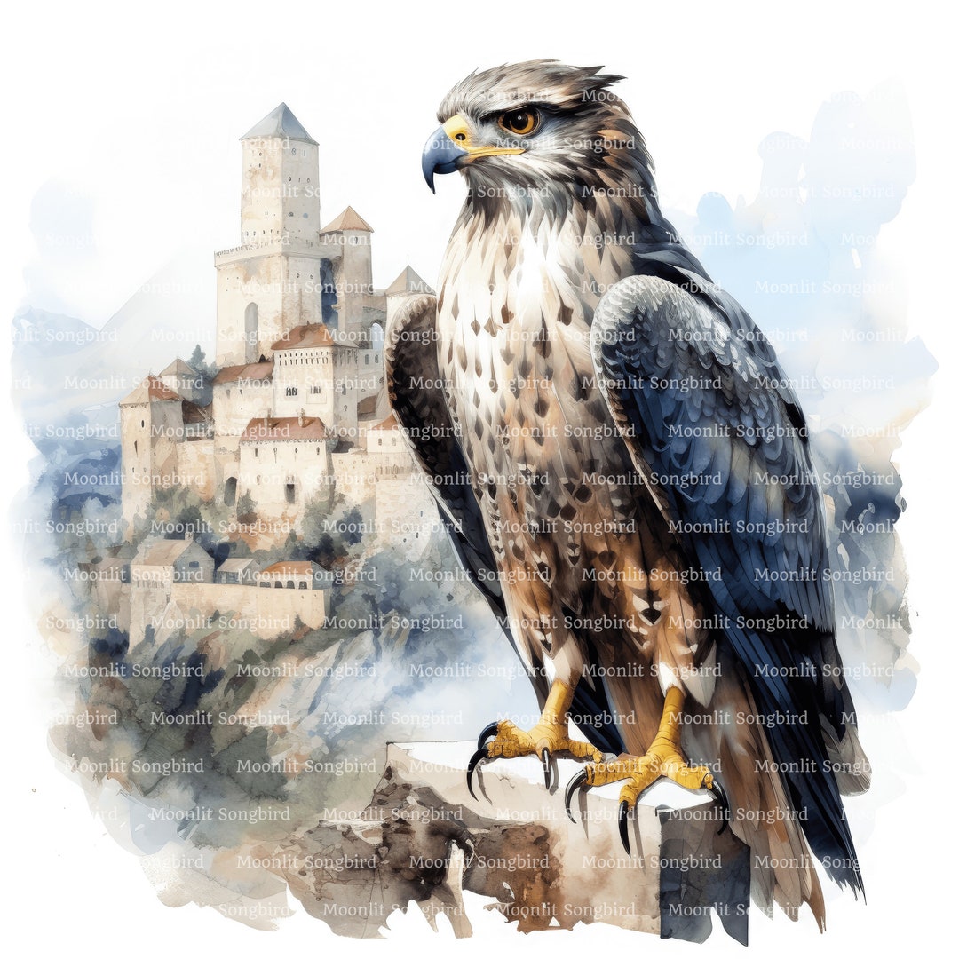 16 Falcon Bird and Medieval Castle Clipart, Digital Download, Printable ...