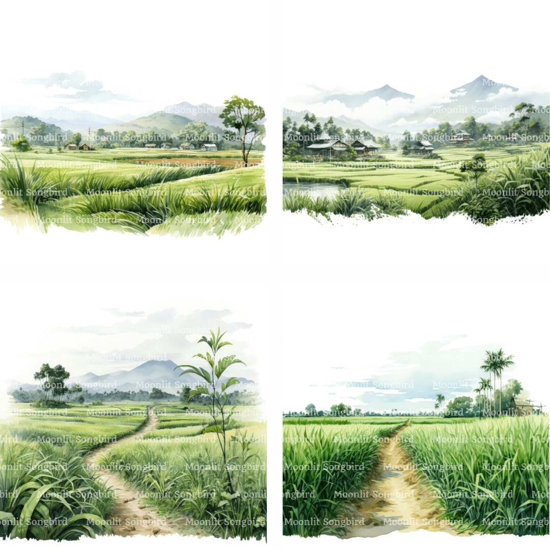 12 Rice Fields Clipart, Digital Download, Printable Watercolor Clipart ...