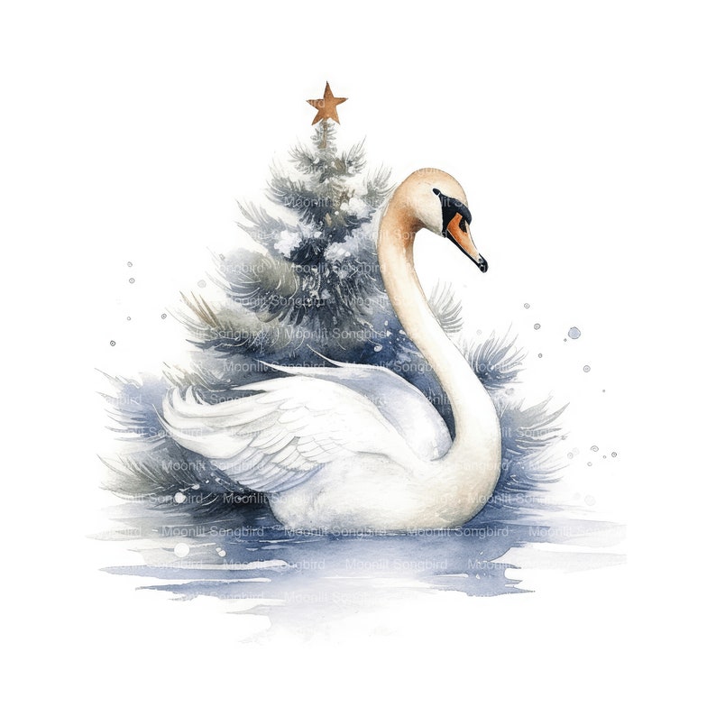 12 Christmas Swan Clipart Digital Download Printable - Etsy