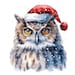 16 Christmas Owl Clipart, Digital Download, Printable Cute Watercolor ...