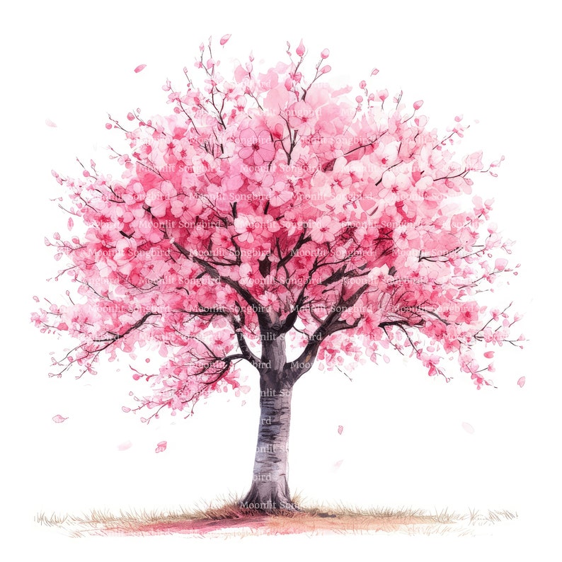 16 Cherry Blossom Tree Clipart, Digital Download, Printable Watercolor ...