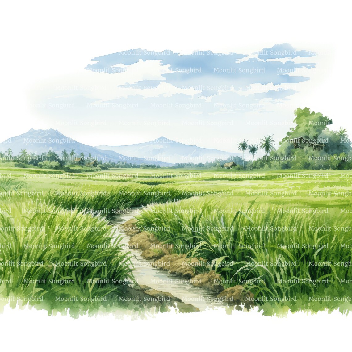 12 Rice Fields Clipart, Digital Download, Printable Watercolor Clipart ...