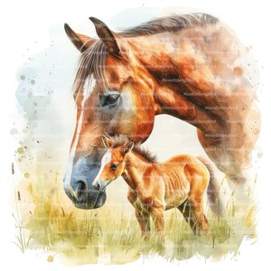 10 Mother Horse and Foal Clipart, Digital Download, Printable ...