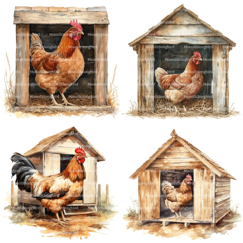 16 Chicken in Coop Clipart, Digital Download, Printable Watercolor ...