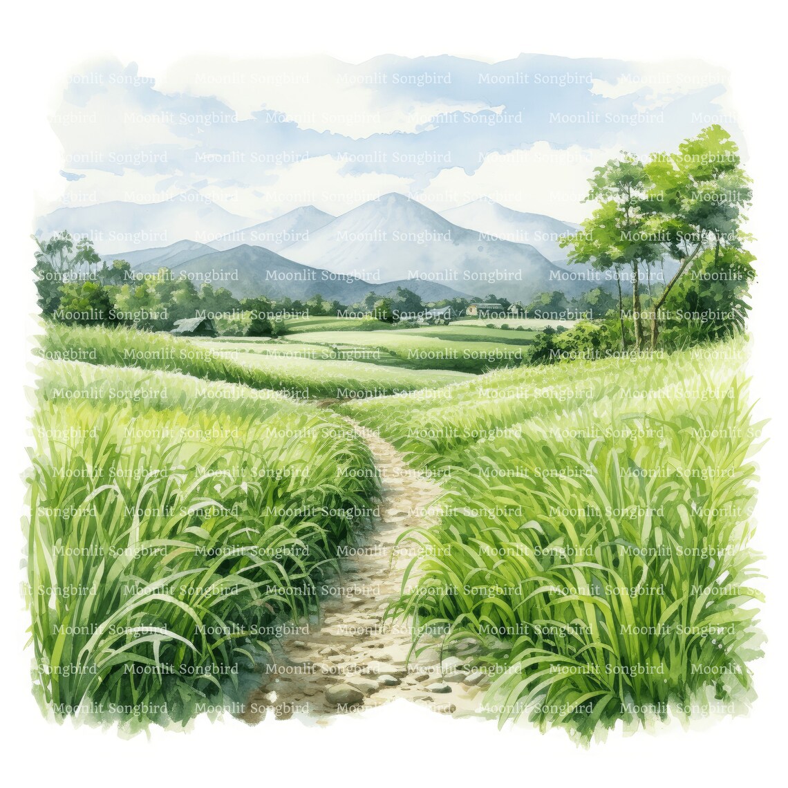 12 Rice Fields Clipart, Digital Download, Printable Watercolor Clipart ...