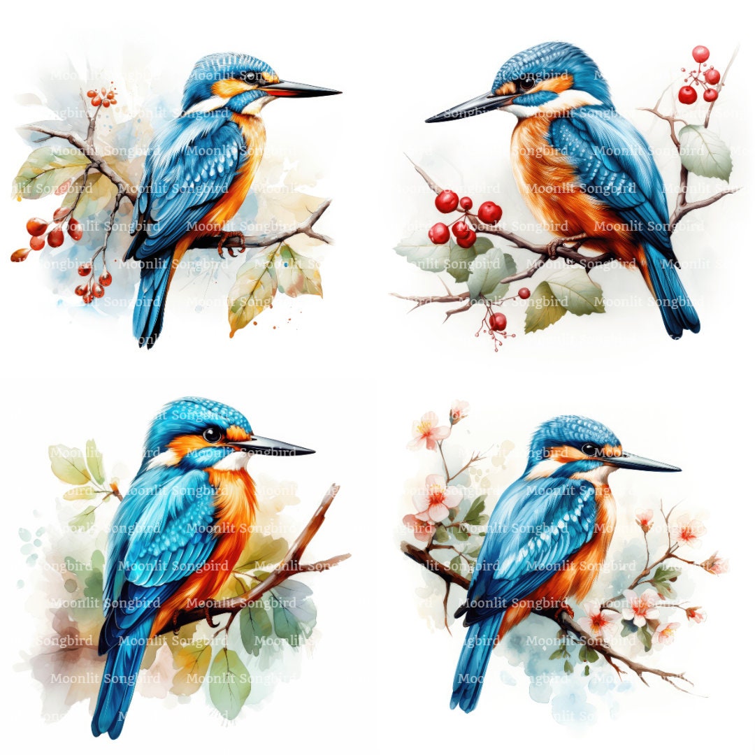 14 Kingfisher Bird Clipart, Digital Download, Printable Watercolor ...