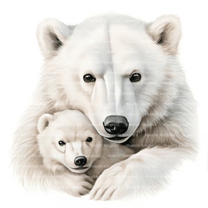12 Polar Bear Mother and Baby Clipart, Digital Download, Printable ...