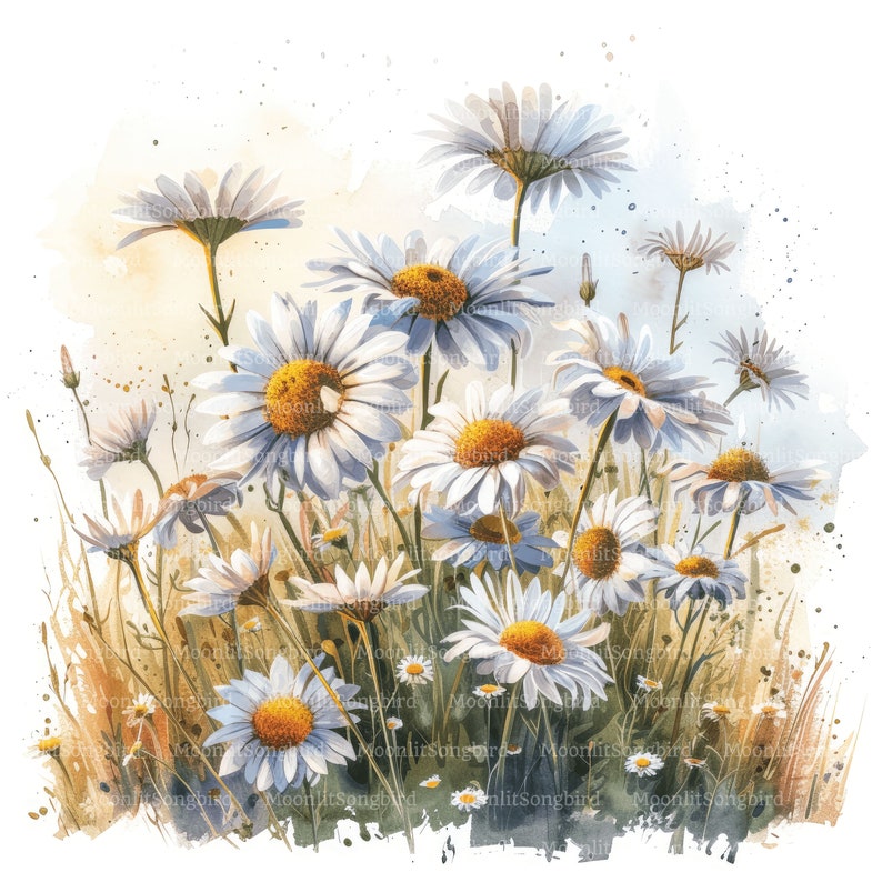 10 Field of Daisies Clipart, Digital Download, Printable Watercolor ...