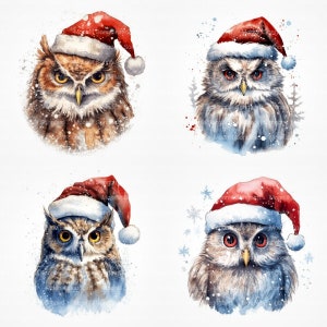 16 Christmas Owl Clipart, Digital Download, Printable Cute Watercolor ...