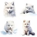 15 Polar Fox in Snow Clipart, Digital Download, Printable Watercolor ...
