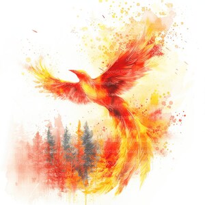 14 Phoenix in Forest Clipart, Digital Download, Printable Watercolor ...