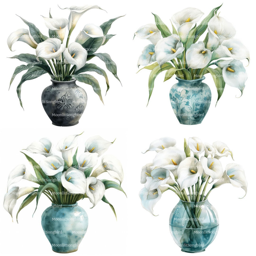 16 Calla Lilies in Vase Clipart, Digital Download, Printable Watercolor ...