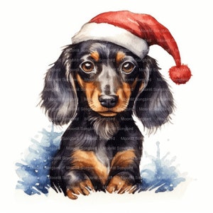 10 Christmas Dachshund Clipart, Digital Download, Printable Watercolor ...