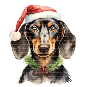 10 Christmas Dachshund Clipart, Digital Download, Printable Watercolor ...