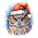 16 Christmas Owl Clipart, Digital Download, Printable Cute Watercolor ...