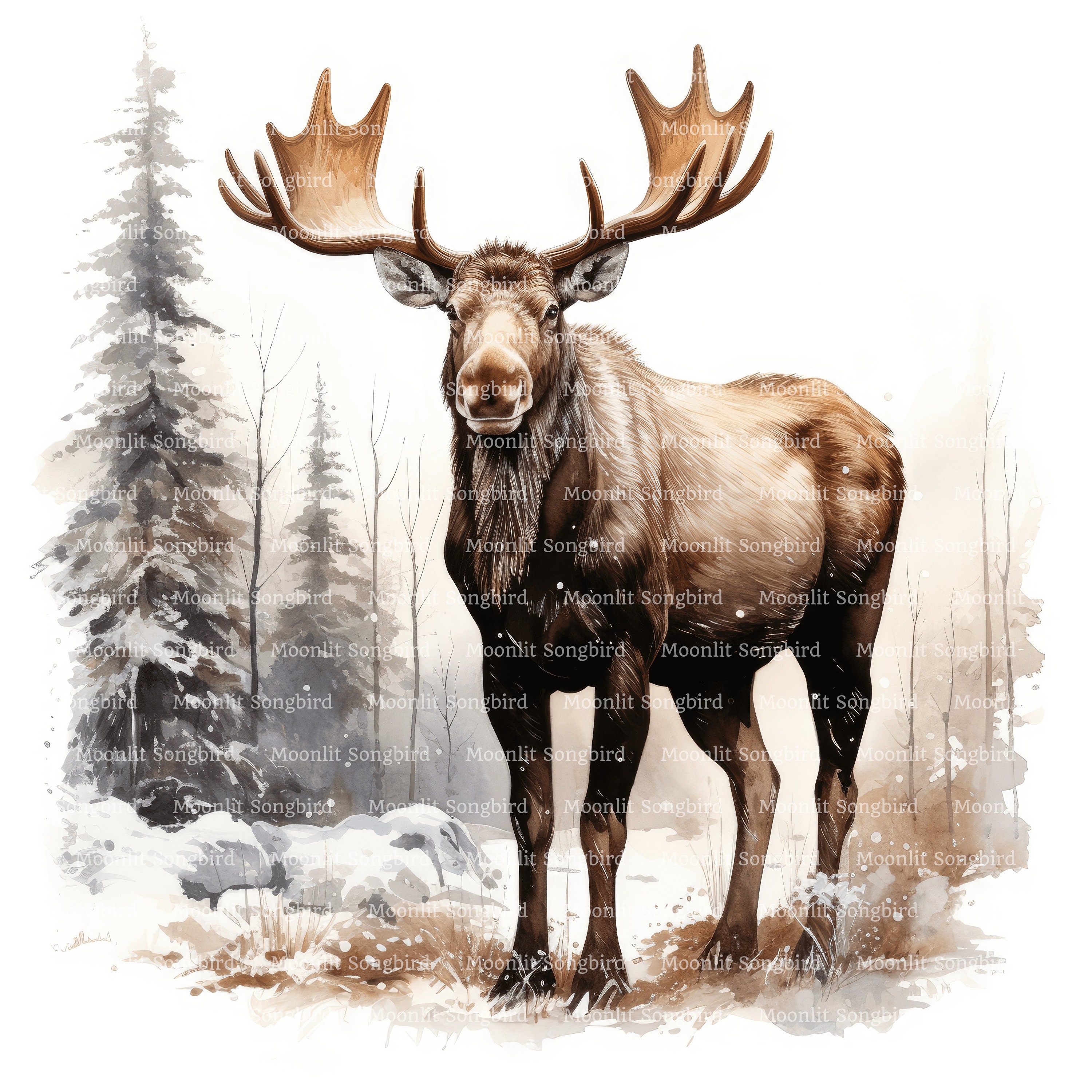 10 Moose in Winter Forest Clipart, Digital Download, Printable ...