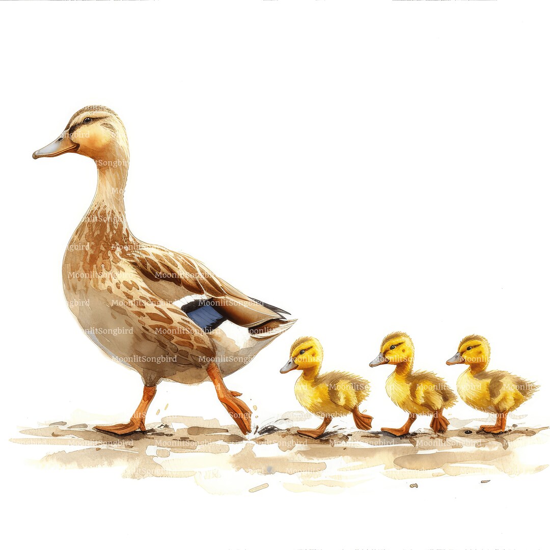 10 Ducklings Following Mother Duck Clipart, Digital Download, Printable ...