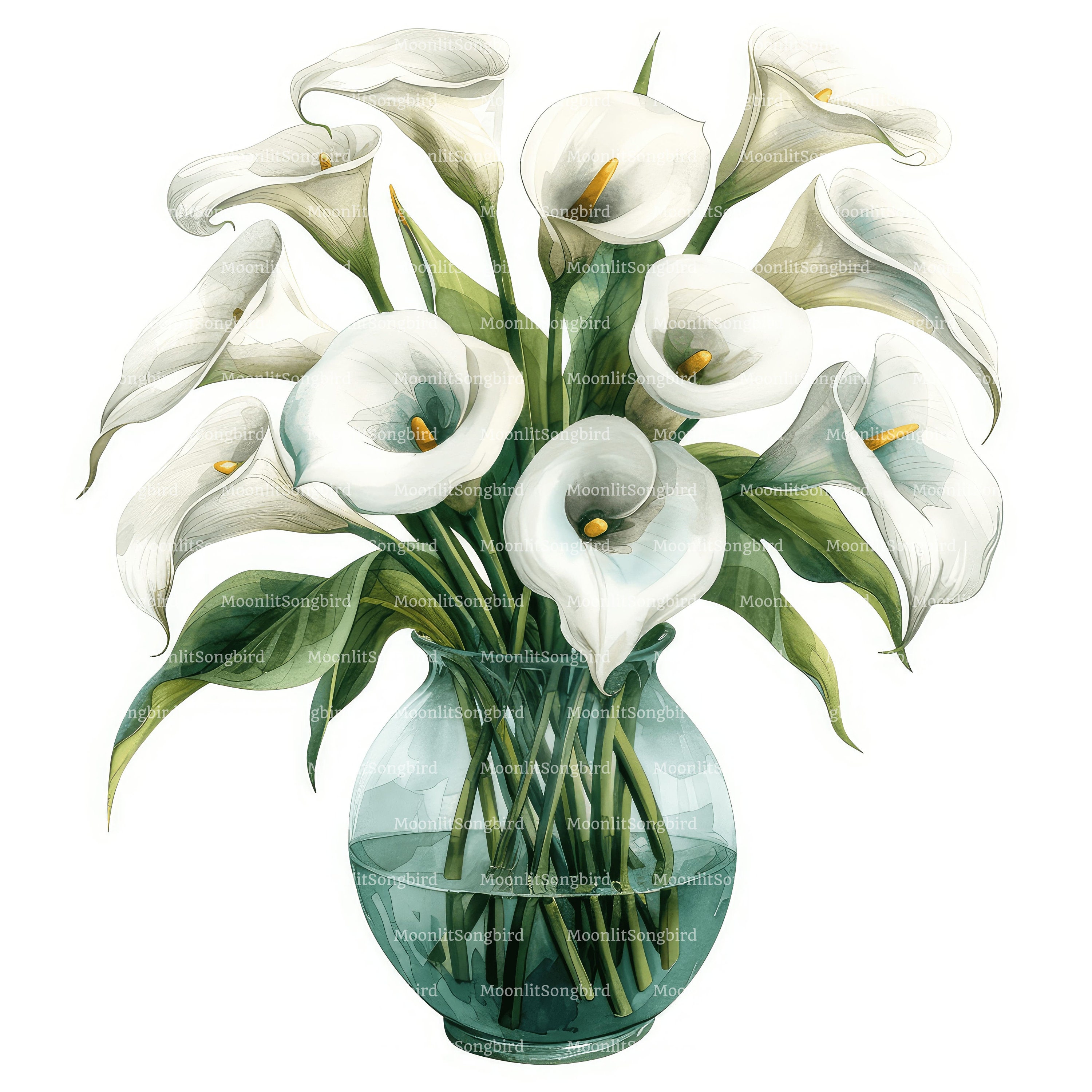 16 Calla Lilies in Vase Clipart, Digital Download, Printable Watercolor ...