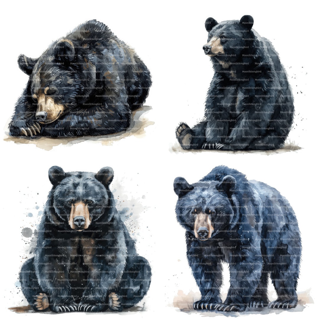 12 Black Bear Clipart, Digital Download, Printable Watercolor Clipart ...