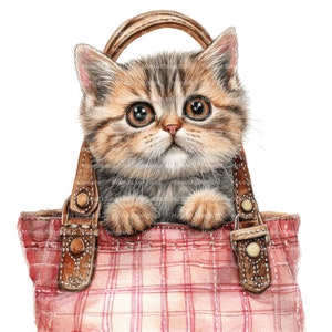 12 Cat in Handbag Clipart, Digital Download, Printable Watercolor ...