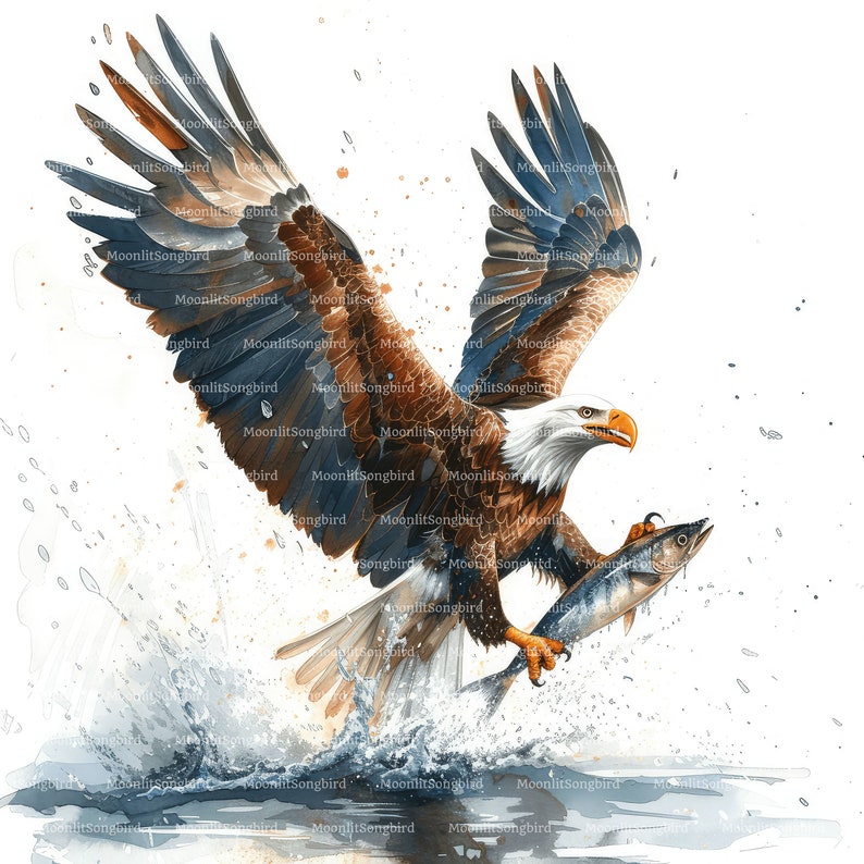 11 Eagle Catching a Fish Clipart, Digital Download, Printable ...