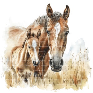 10 Mother Horse and Foal Clipart, Digital Download, Printable ...