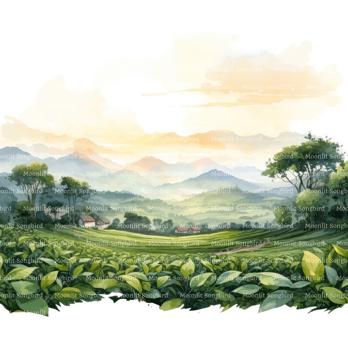 12 Tea Fields Clipart, Digital Download, Printable Watercolor Clipart ...