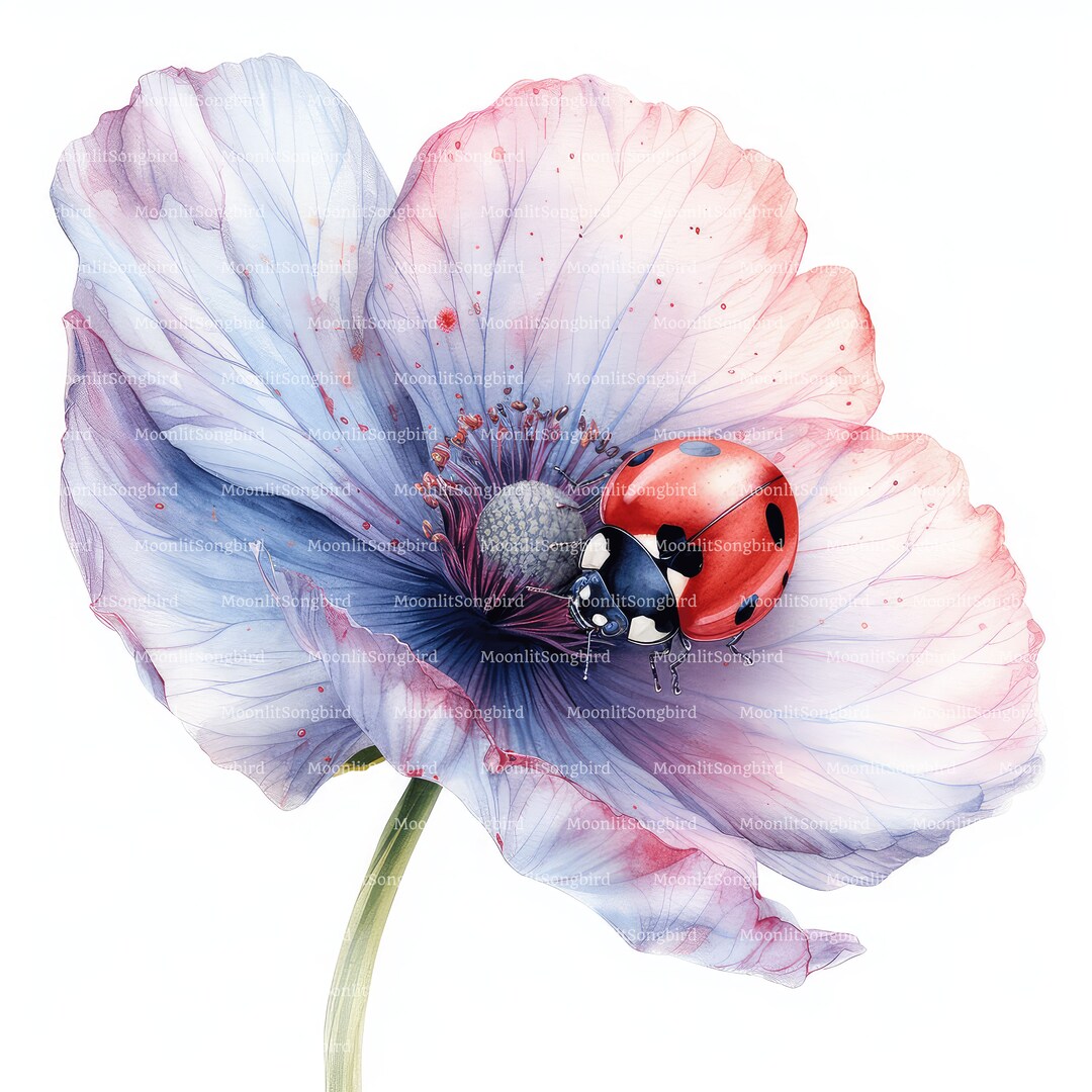 10 Ladybug on Flower Clipart, Digital Download, Printable Watercolor ...