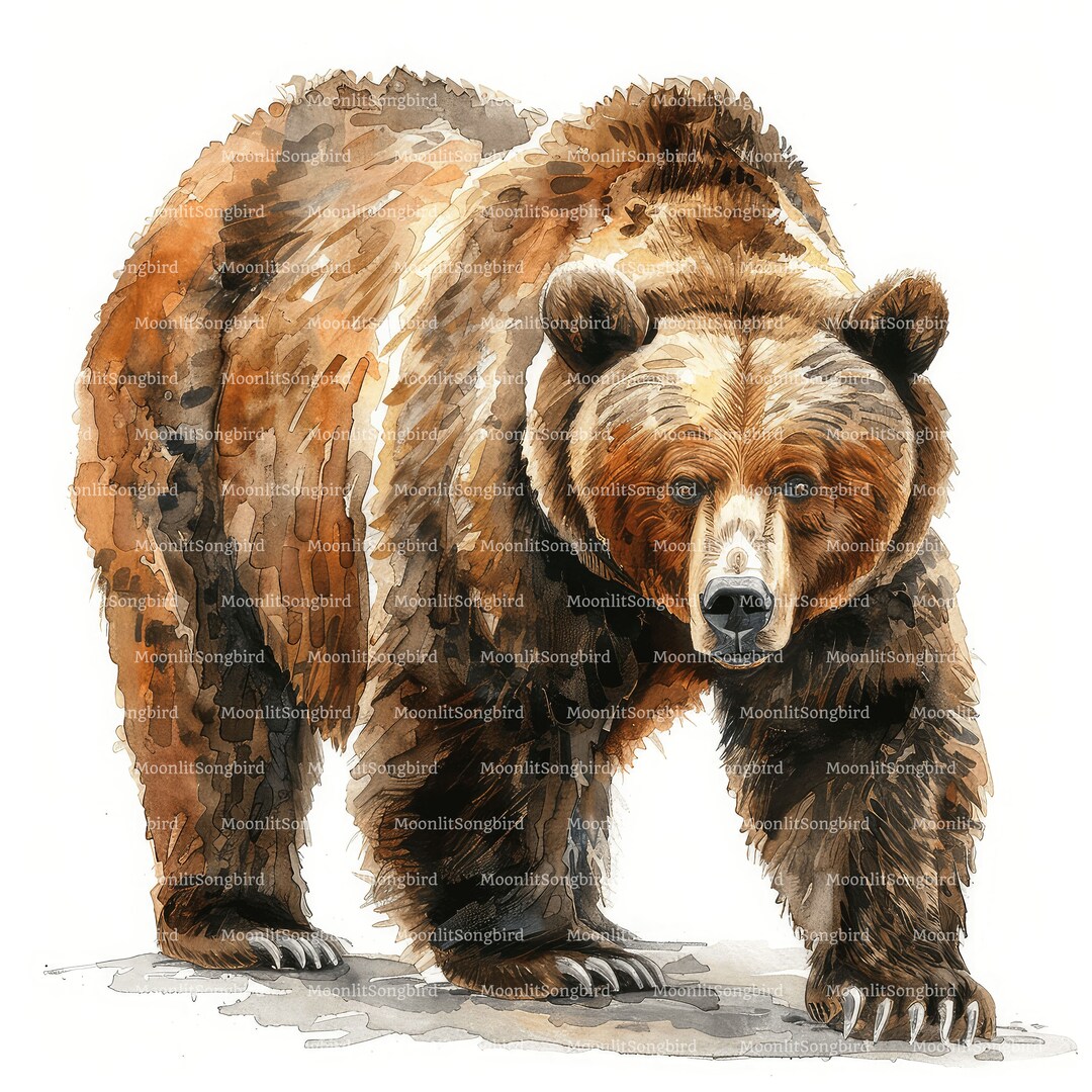 12 Brown Bear Clipart, Digital Download, Printable Watercolor Clipart ...