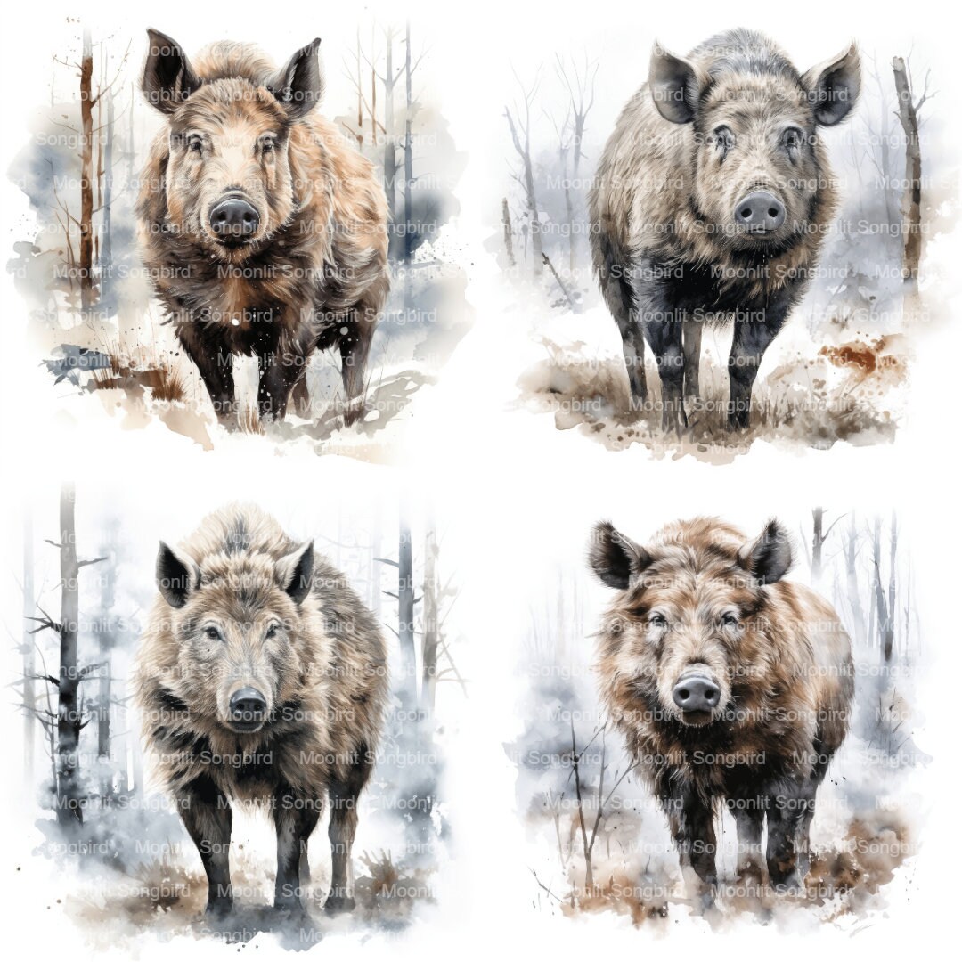 12 Wild Boar in Winter Forest Clipart, Digital Download, Printable ...