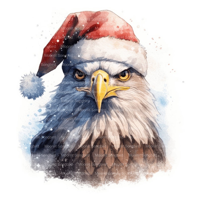 10 Christmas Eagle Clipart, Digital Download, Printable Watercolor ...