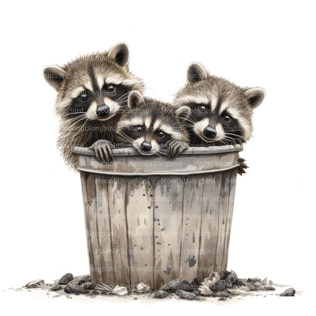 12 Raccoon Family in Trash Can Clipart, Digital Download, Printable ...