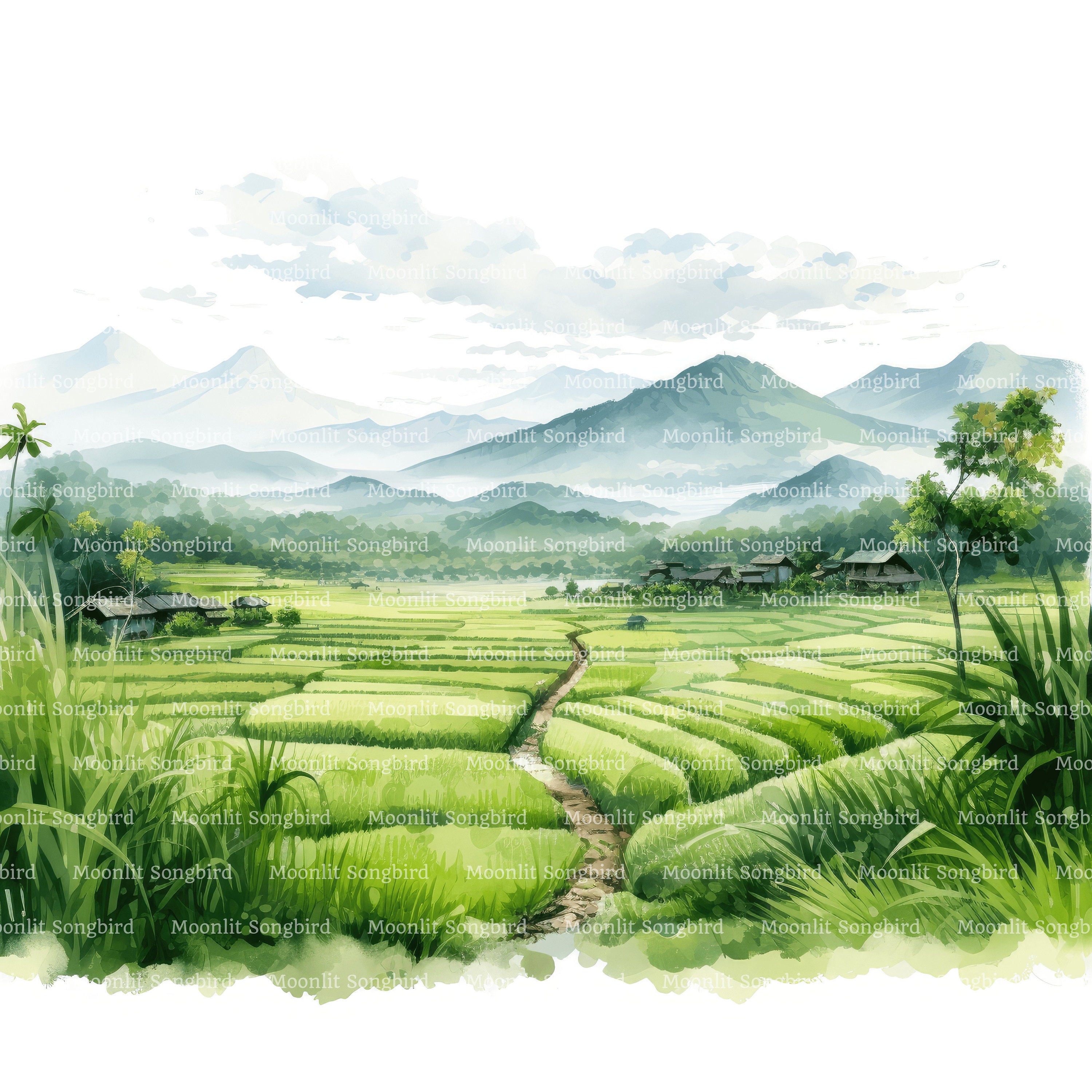 12 Rice Fields Clipart, Digital Download, Printable Watercolor Clipart ...