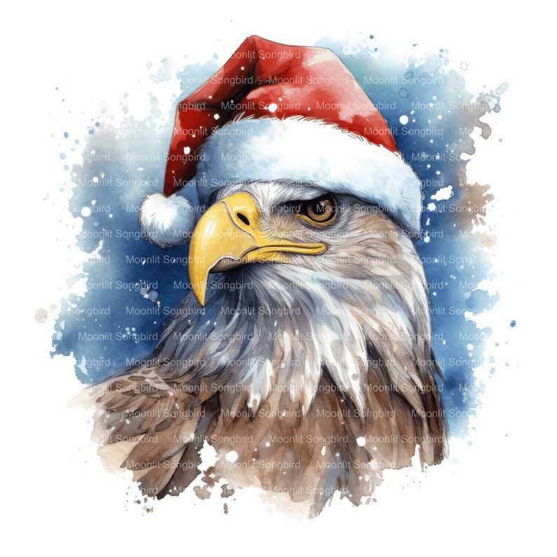 10 Christmas Eagle Clipart, Digital Download, Printable Watercolor ...